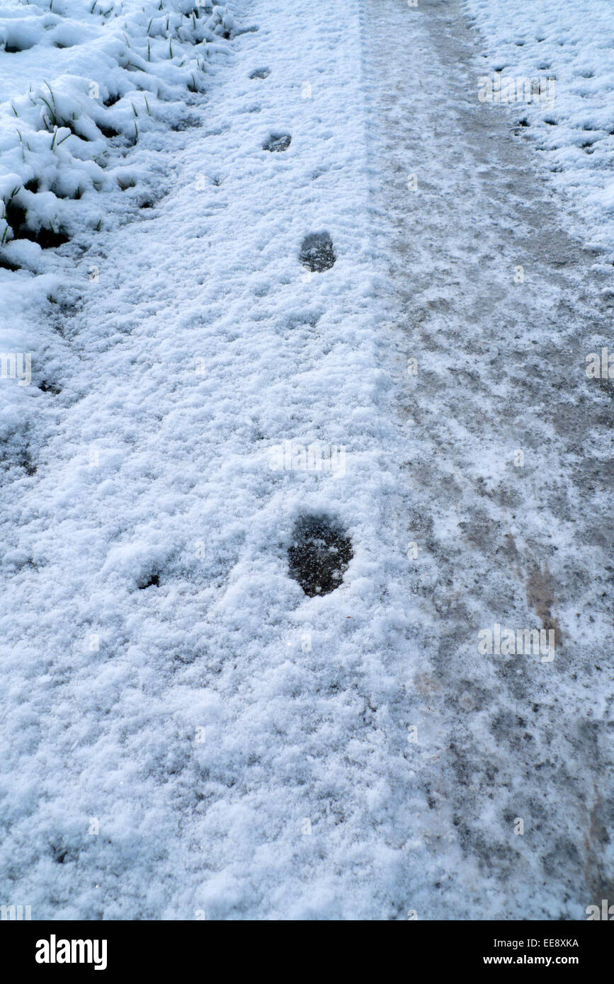 Fuchsspuren im schnee -Fotos und -Bildmaterial in hoher Auflösung – Alamy
