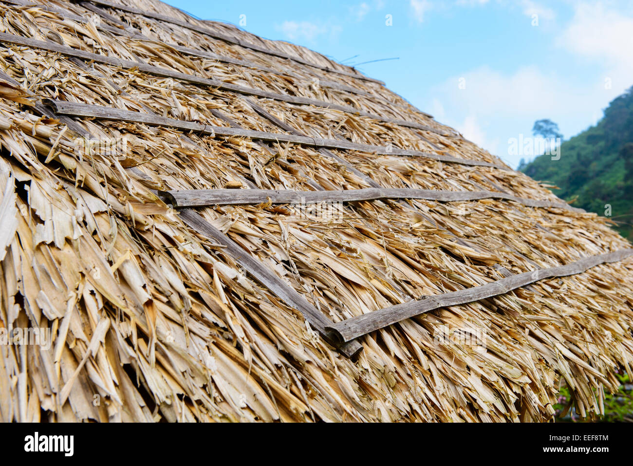 Straw roof -Fotos und -Bildmaterial in hoher Auflösung – Alamy