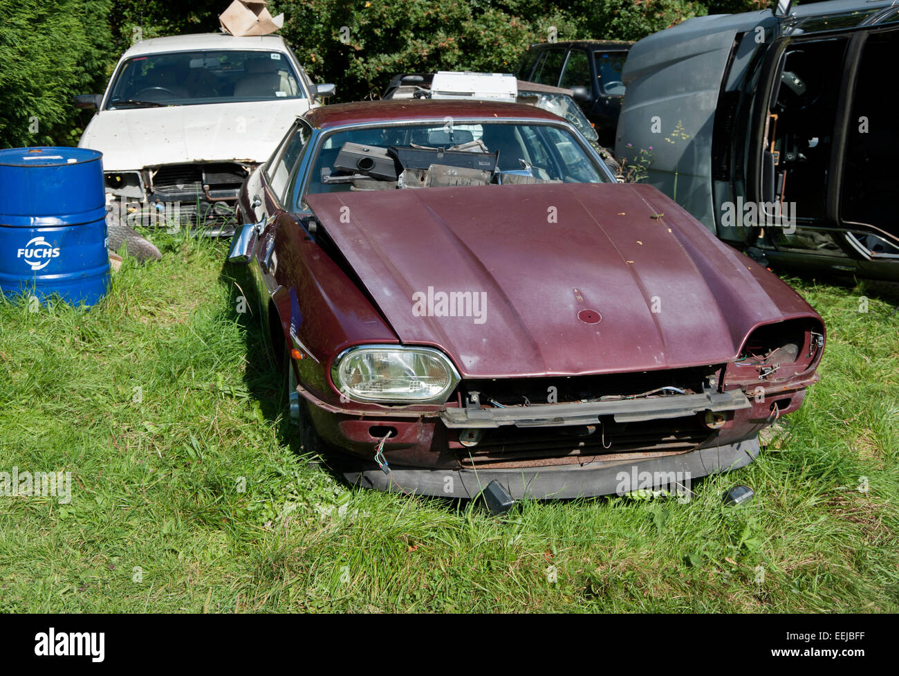 Leben im schrottplatz -Fotos und -Bildmaterial in hoher Auflösung – Alamy