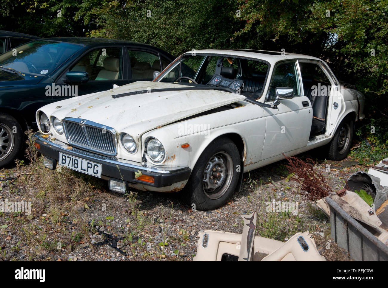 Autoschrott Jaguar ruht in einem Brecher Hof Stockfotografie Alamy