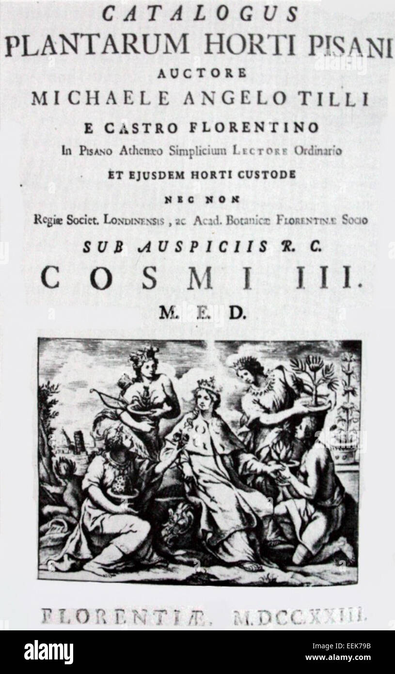 Michelangelo tilli -Fotos und -Bildmaterial in hoher Auflösung – Alamy