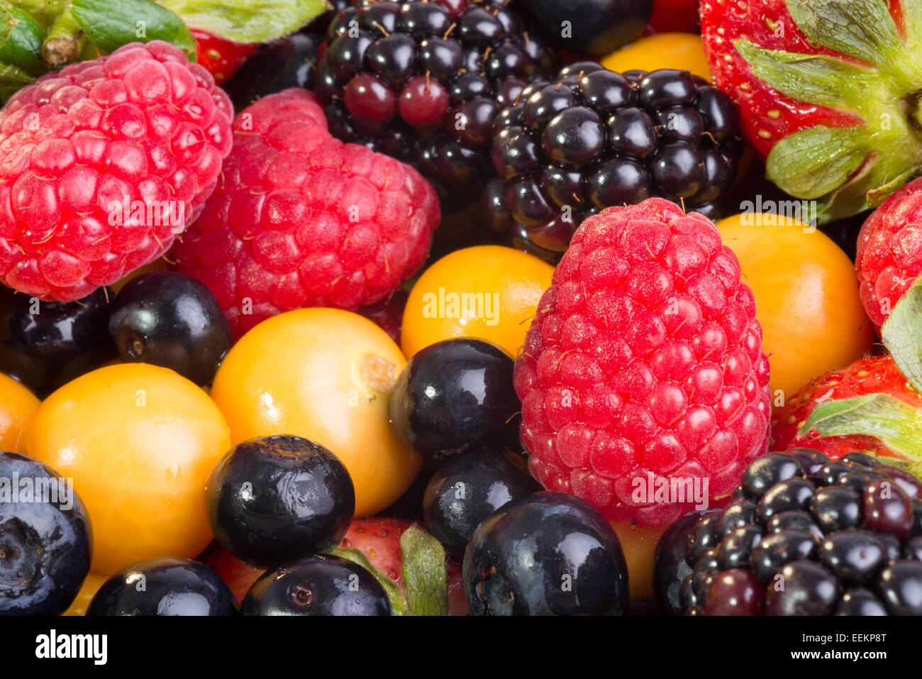 Bis Nahaufnahme von frischen Beeren der verschiedenen Arten, alles ...
