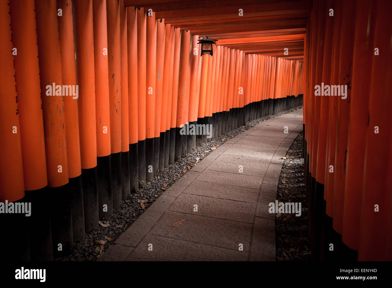 Tausende von roten Torii-Tore säumen den Weg am Fushimi Inari-Schrein ...