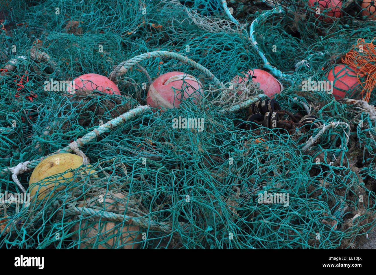 Fischernetz fische -Fotos und -Bildmaterial in hoher Auflösung – Alamy
