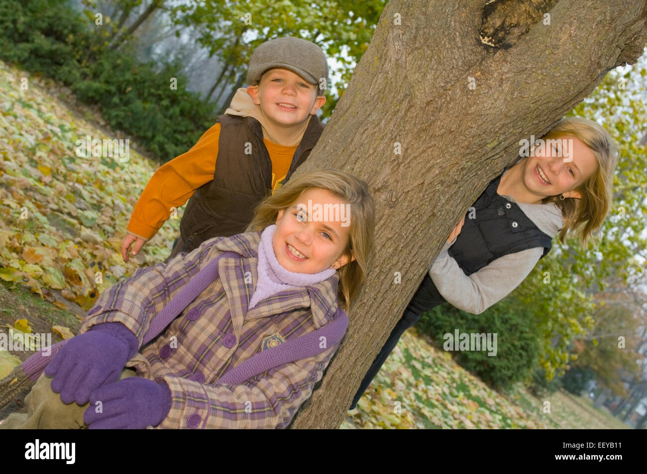 Slanted tree -Fotos und -Bildmaterial in hoher Auflösung – Alamy