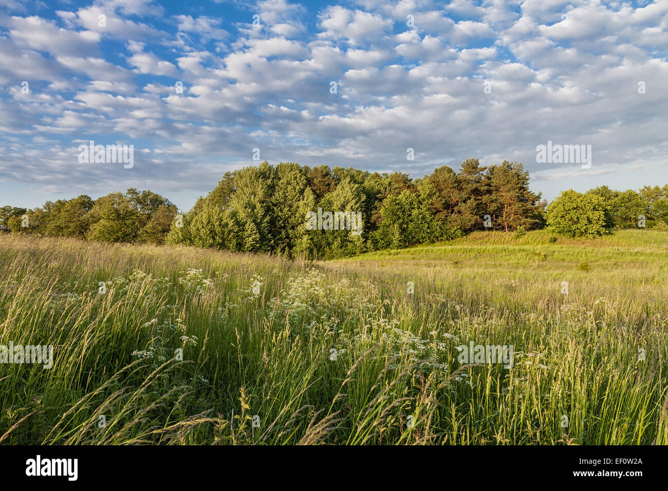 Natur in deutschland -Fotos und -Bildmaterial in hoher Auflösung – Alamy