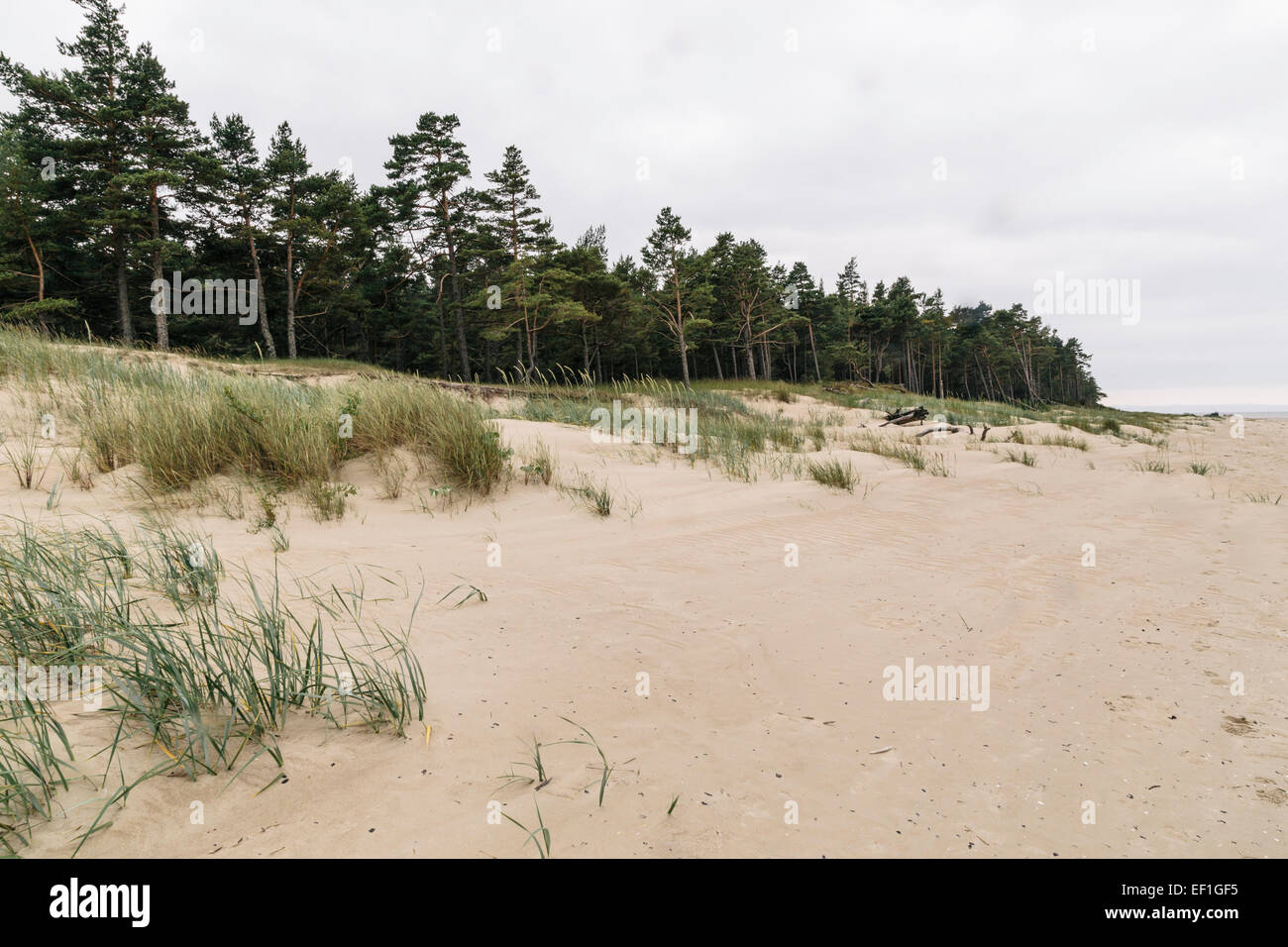 Irbe strait -Fotos und -Bildmaterial in hoher Auflösung – Alamy