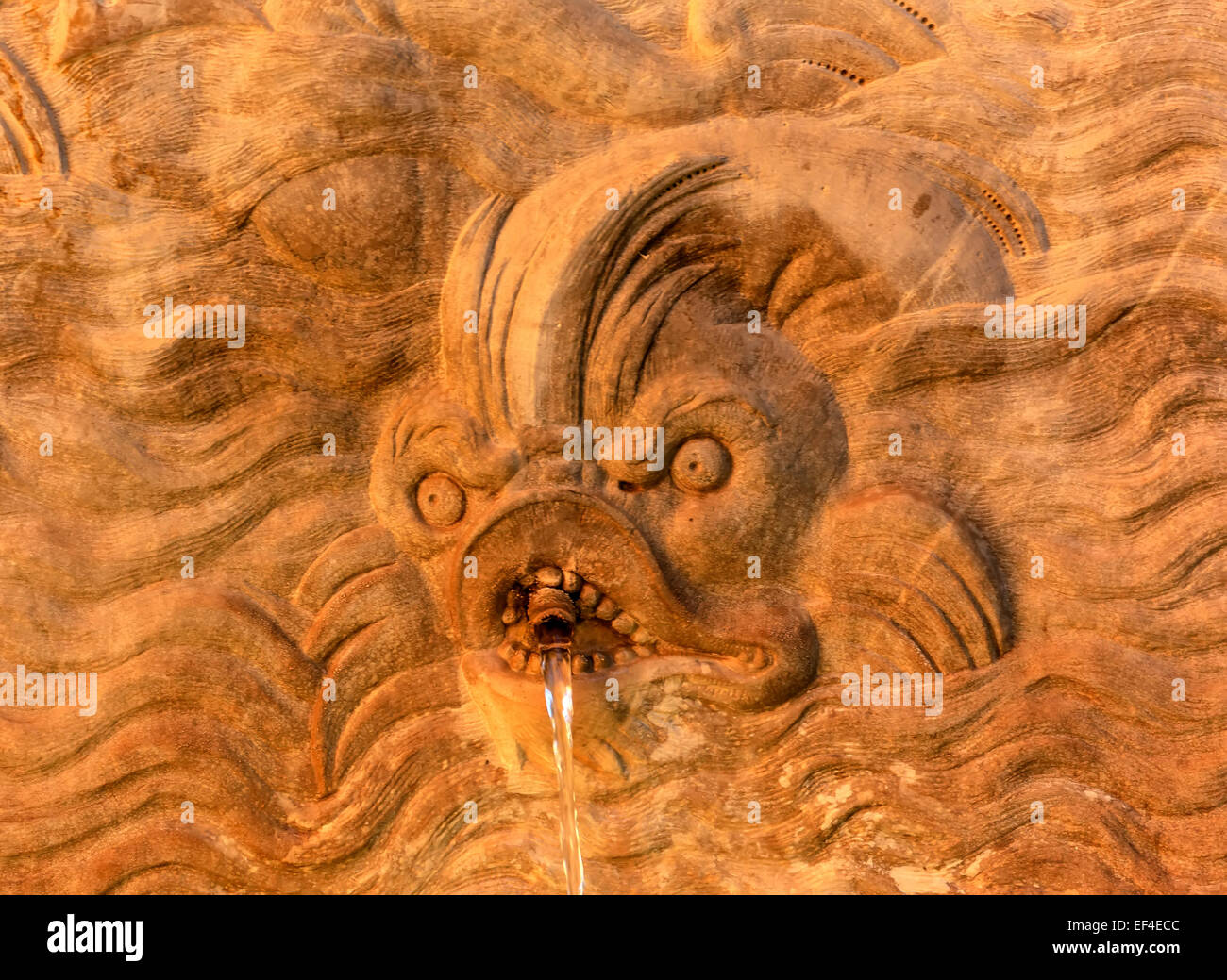 Garten des monsters -Fotos und -Bildmaterial in hoher Auflösung – Alamy