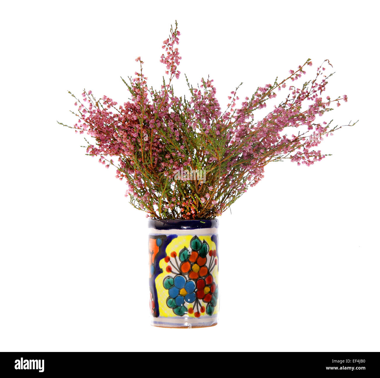 Heidekraut moor -Fotos und -Bildmaterial in hoher Auflösung – Alamy