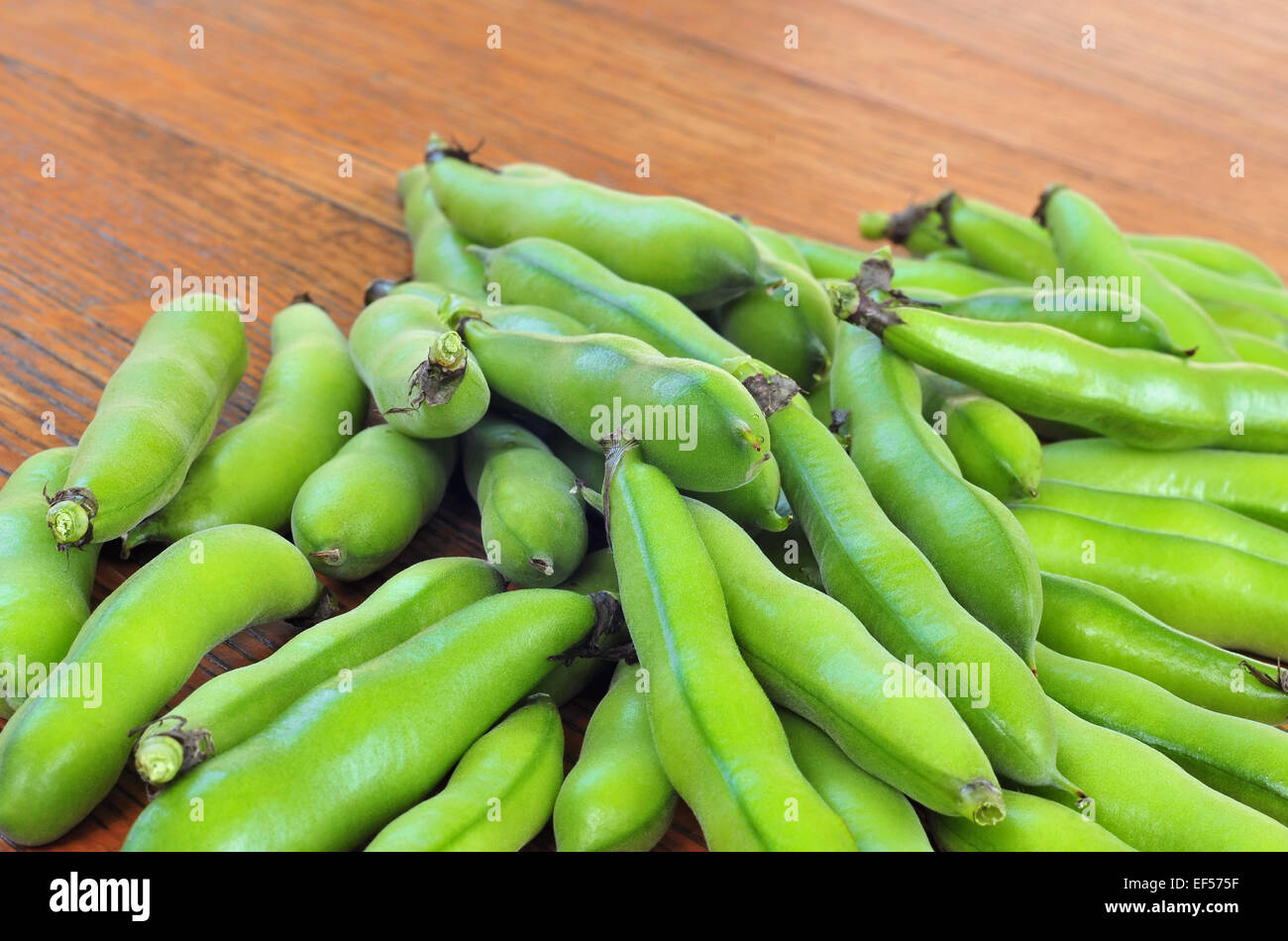 Bell bean -Fotos und -Bildmaterial in hoher Auflösung – Alamy