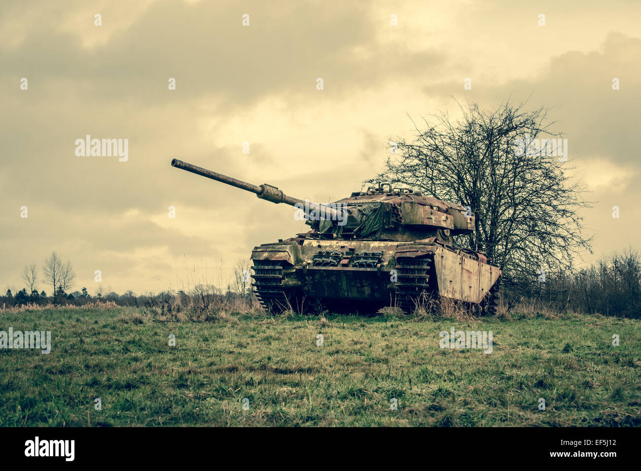 Panzer im wald tarnung -Fotos und -Bildmaterial in hoher Auflösung – Alamy