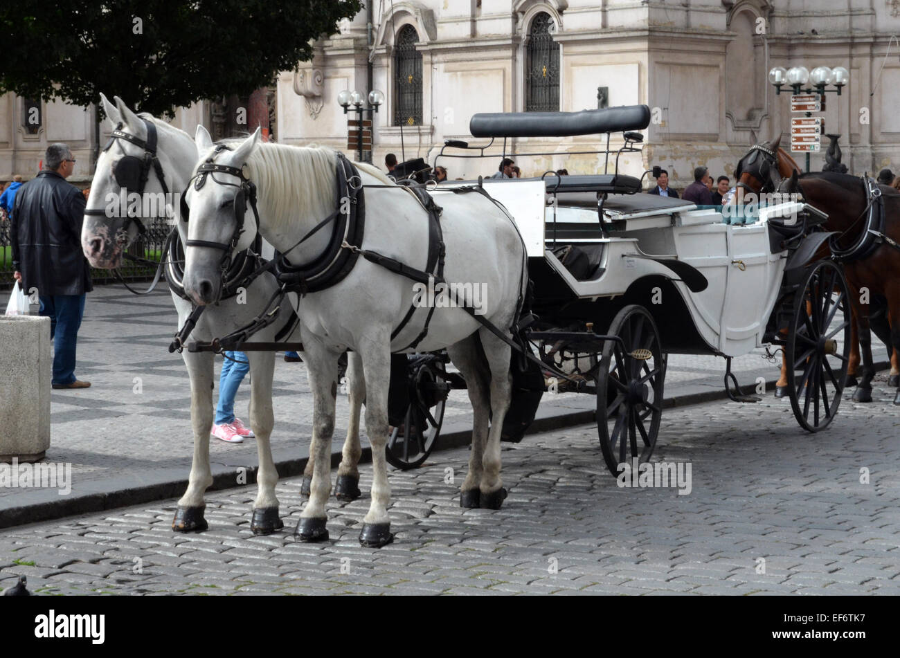 Prag ist eine tolle stadt zum wandern -Fotos und -Bildmaterial in hoher ...