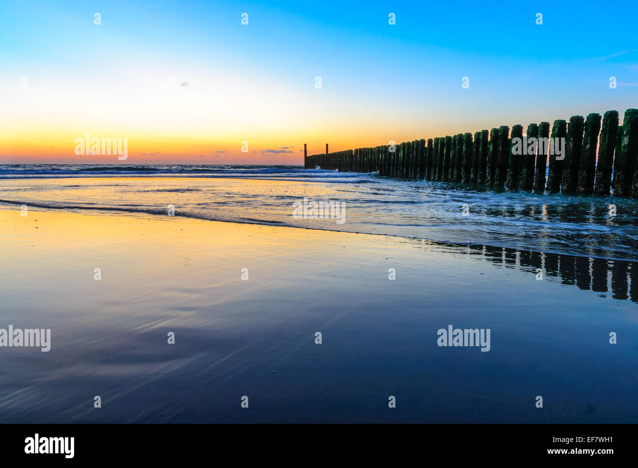 Beach holland -Fotos und -Bildmaterial in hoher Auflösung – Alamy