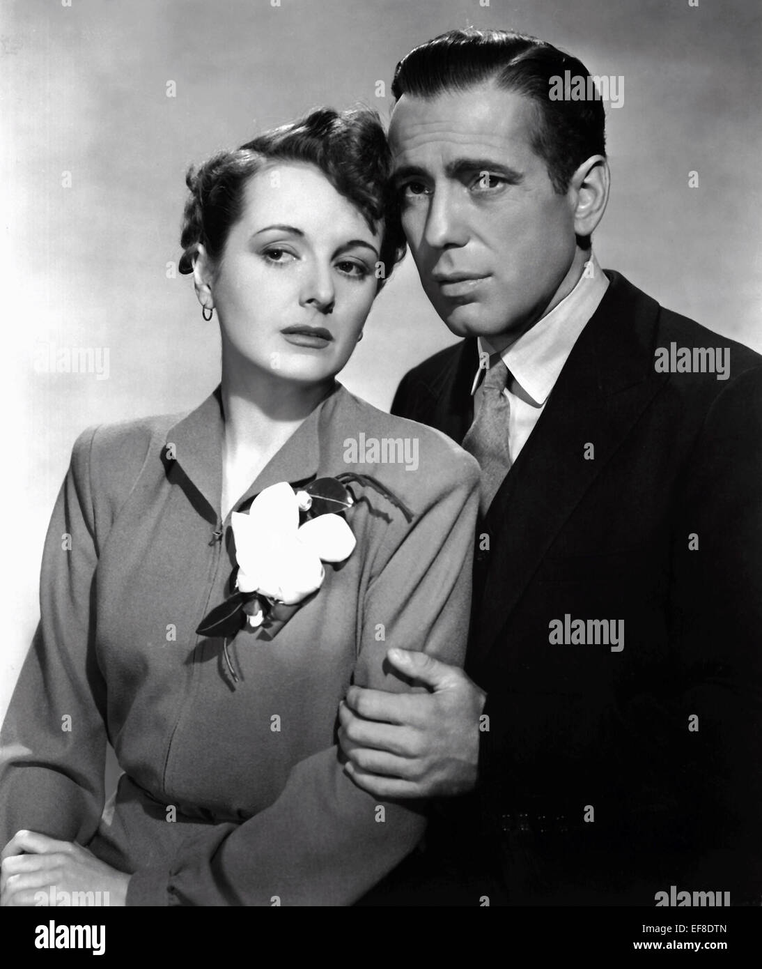 Humphrey bogart der maltese falke -Fotos und -Bildmaterial in hoher ...