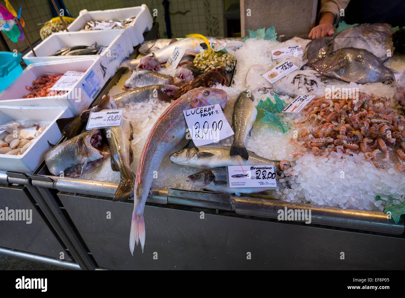 Fischmarkt venedig -Fotos und -Bildmaterial in hoher Auflösung – Alamy