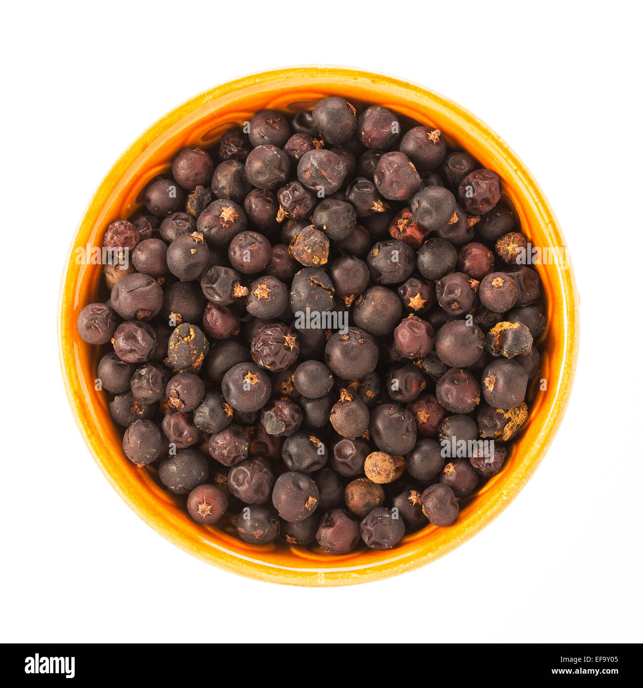 Wacholderbeere juniperus communis -Fotos und -Bildmaterial in hoher ...