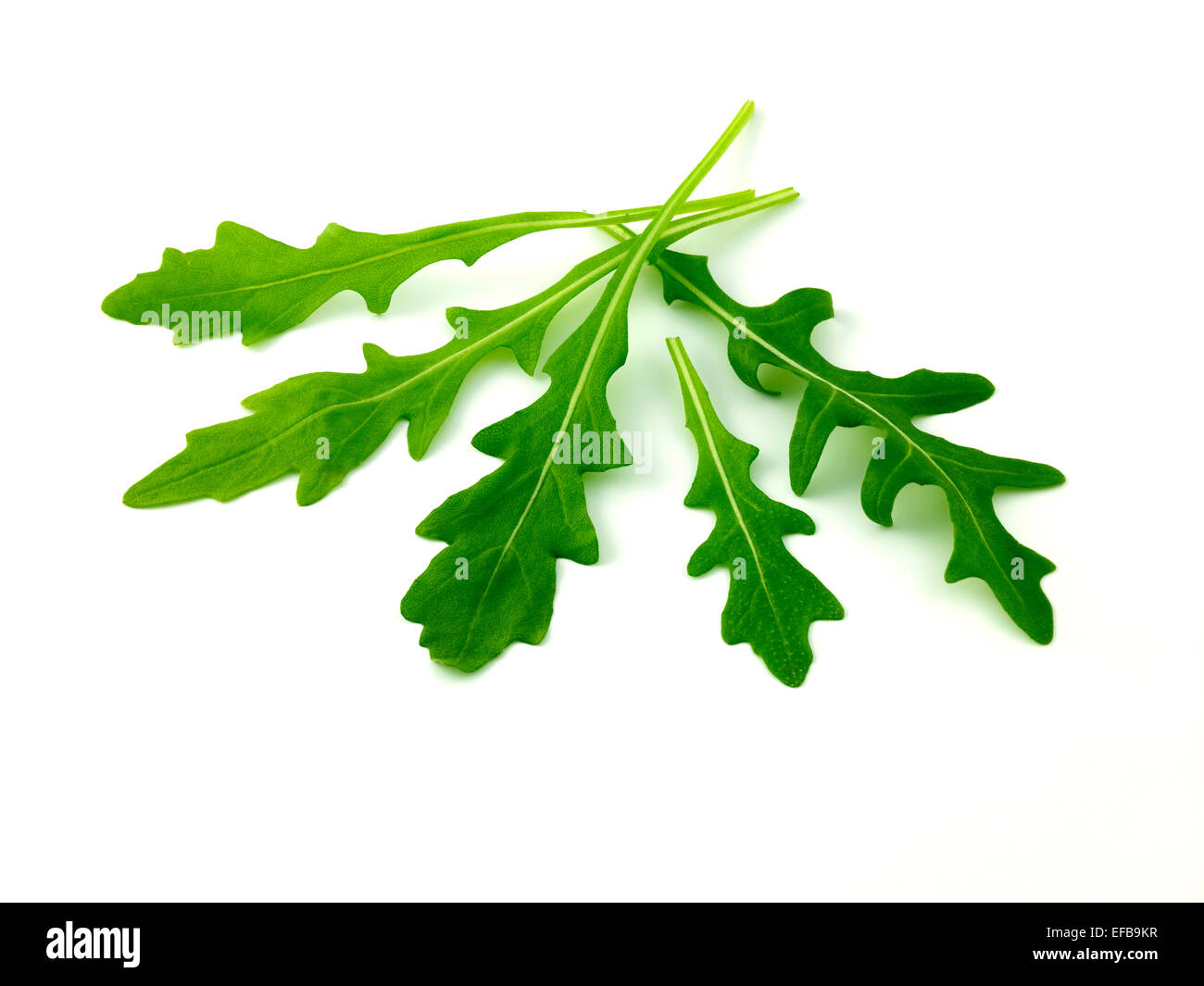 Wilde rakete -Fotos und -Bildmaterial in hoher Auflösung – Alamy