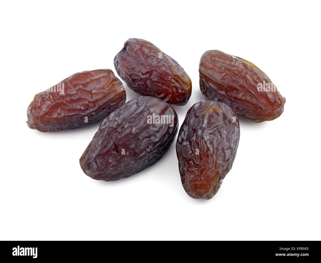 Medjool dattelpalme -Fotos und -Bildmaterial in hoher Auflösung – Alamy