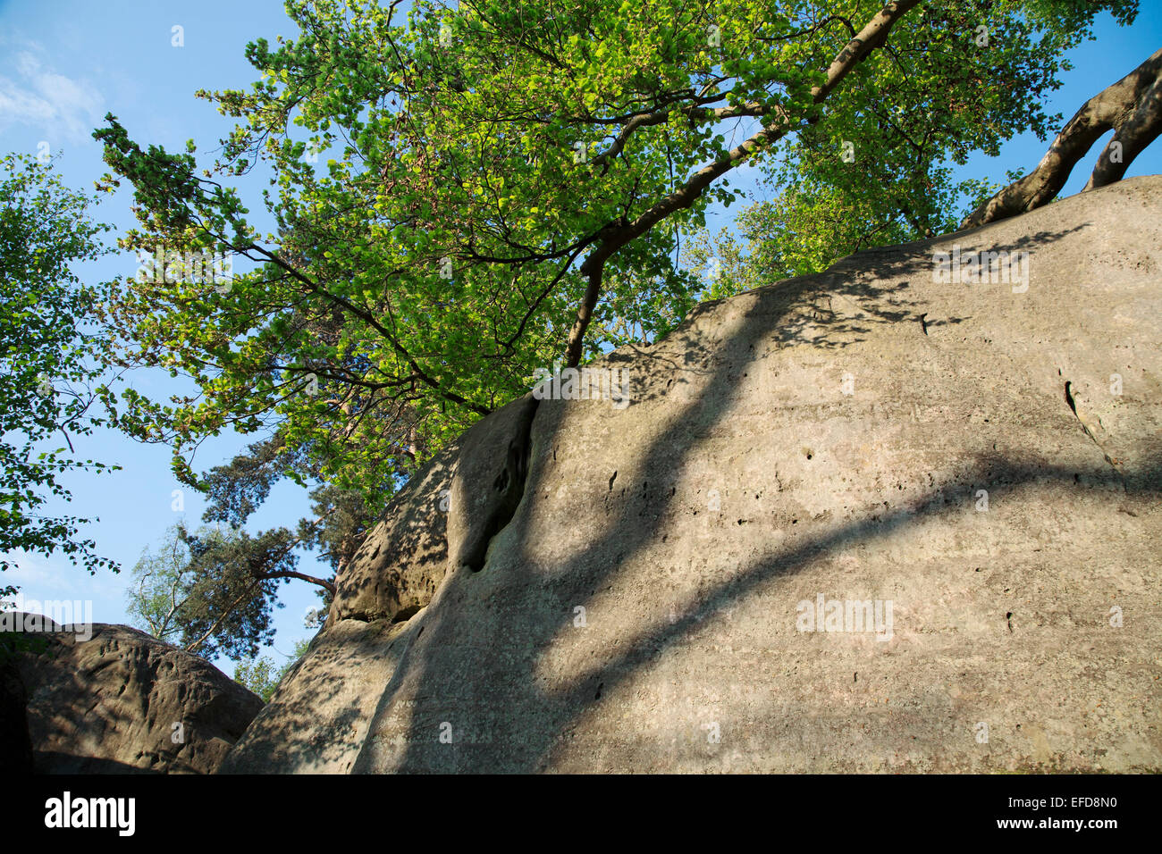 Sandsteinfelsen felsen -Fotos und -Bildmaterial in hoher Auflösung – Alamy