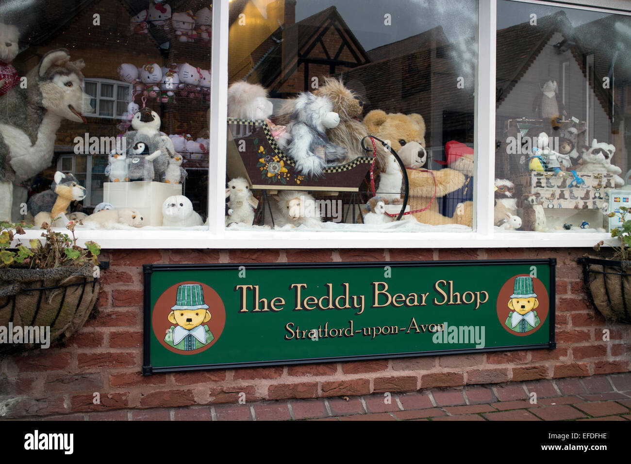 Teddy bear shop -Fotos und -Bildmaterial in hoher Auflösung – Alamy