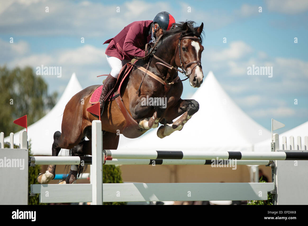 Equestrian competition -Fotos und -Bildmaterial in hoher Auflösung – Alamy