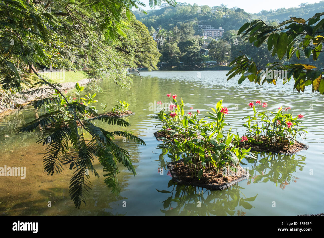 Sri lanka map kandy -Fotos und -Bildmaterial in hoher Auflösung – Alamy