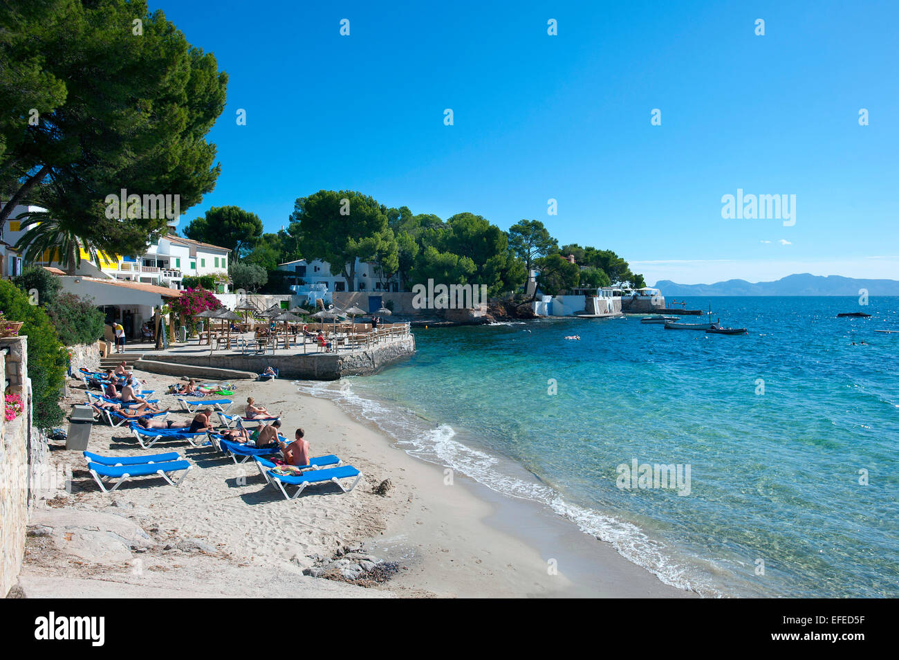 Strand Alcanada, Mallorca, Balearen, Spanien Stockfotografie - Alamy