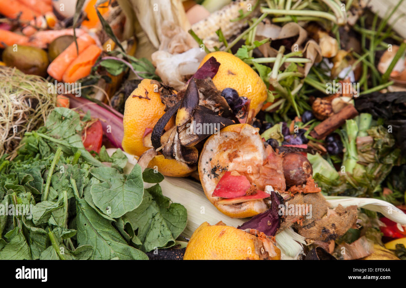 Organischer abfall -Fotos und -Bildmaterial in hoher Auflösung – Alamy