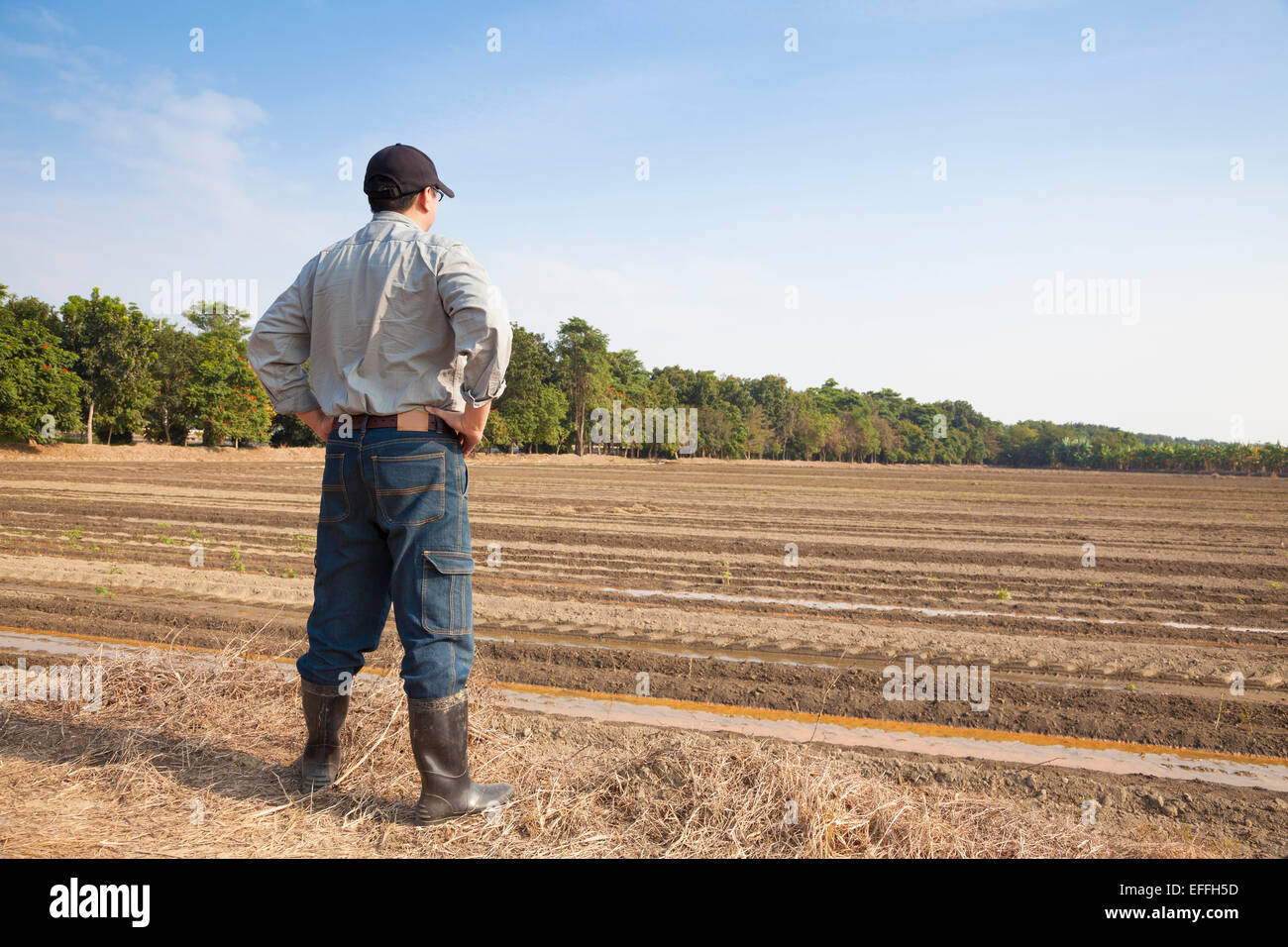 Bauer an land -Fotos und -Bildmaterial in hoher Auflösung – Alamy