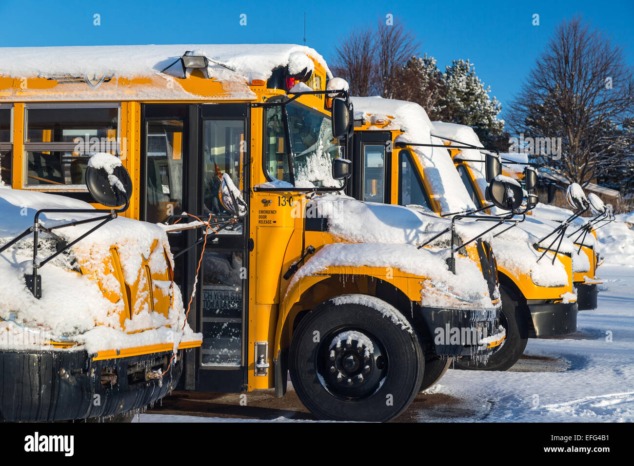 Nordamerikanische schulbusse -Fotos und -Bildmaterial in hoher ...