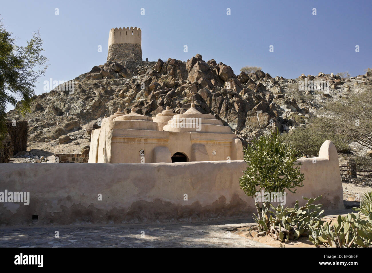 Al badiyah -Fotos und -Bildmaterial in hoher Auflösung – Alamy