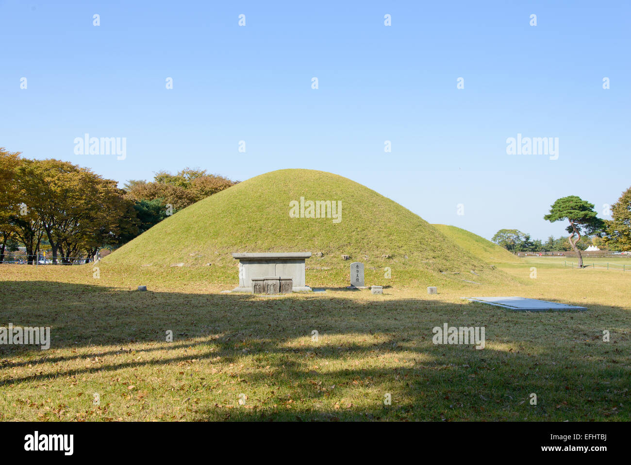 Silla monarch -Fotos und -Bildmaterial in hoher Auflösung – Alamy
