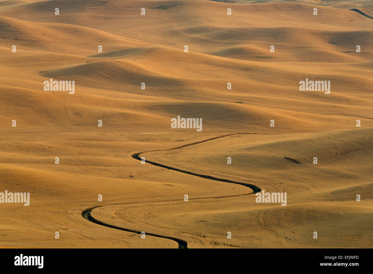 Weizen in den usa -Fotos und -Bildmaterial in hoher Auflösung – Alamy