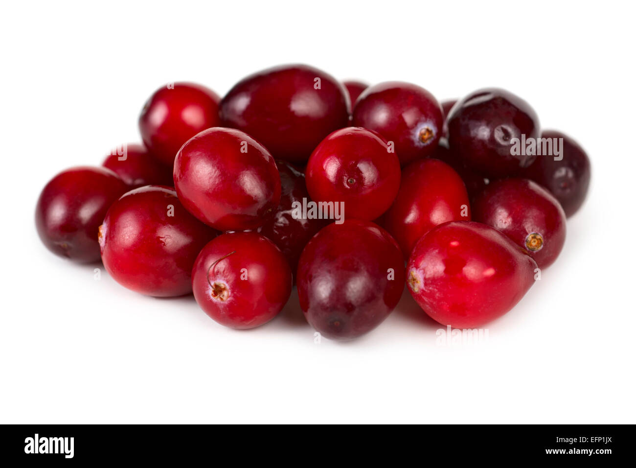 Whole cranberries -Fotos und -Bildmaterial in hoher Auflösung – Alamy