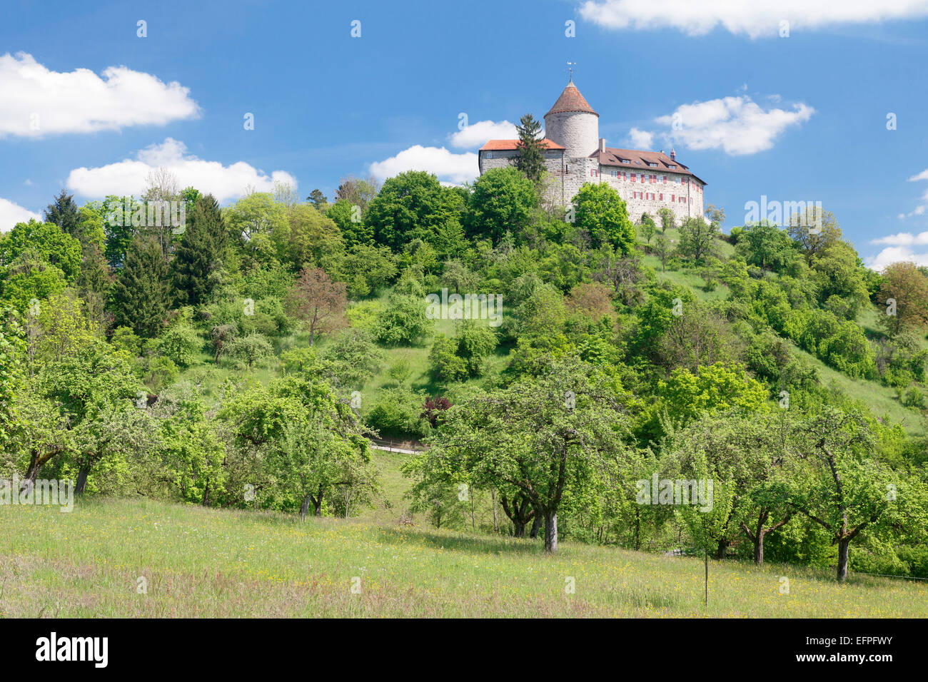Burg Reichenberg Schloss, Oppenweiler, Schwäbischen Wald, Rems-Murr ...