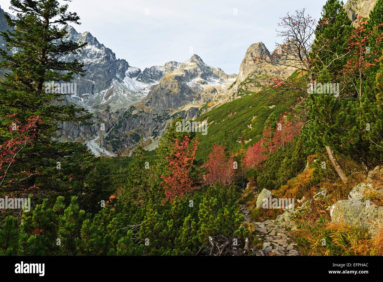 Hohe tatry -Fotos und -Bildmaterial in hoher Auflösung – Alamy