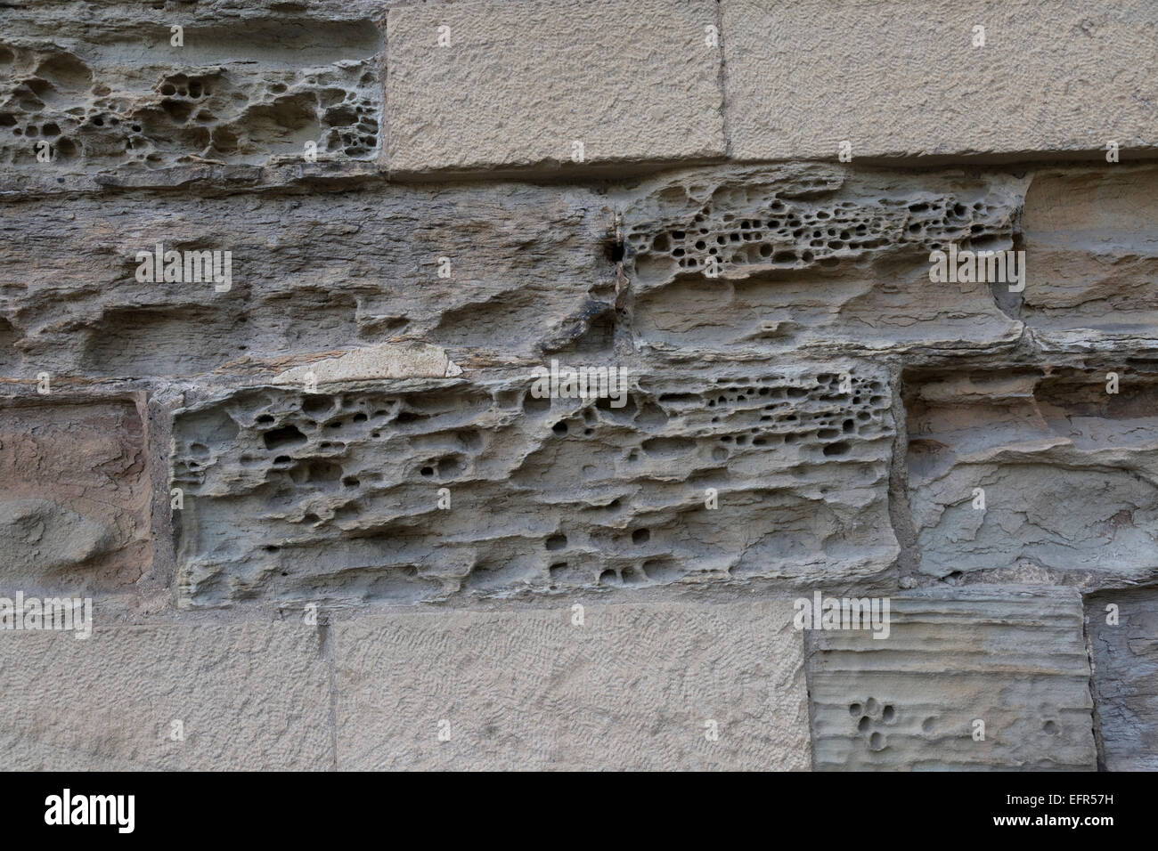 Saurer Regen Stockfotos und -bilder Kaufen - Alamy