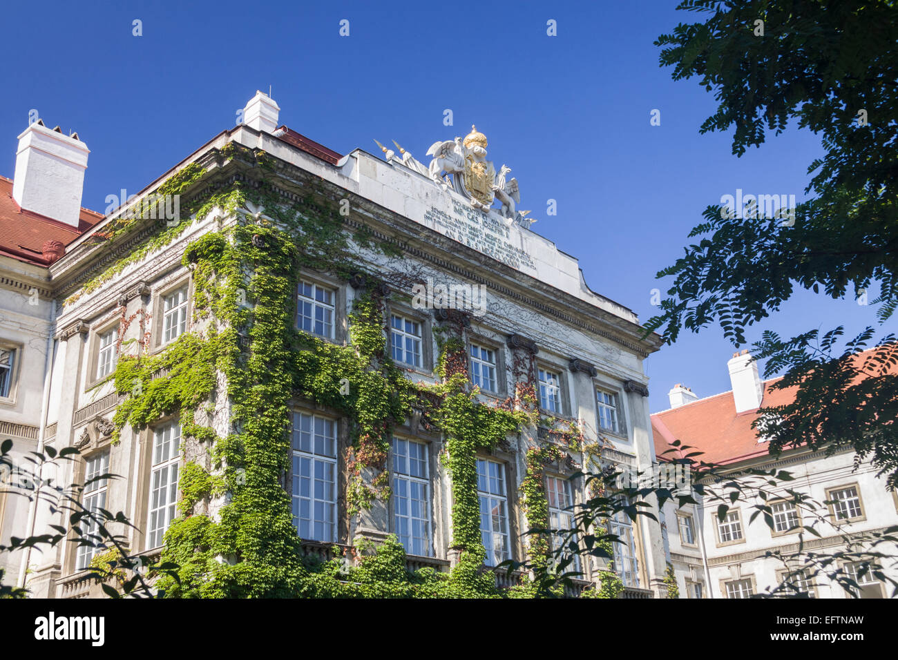 Medizinische universität wien -Fotos und -Bildmaterial in hoher ...