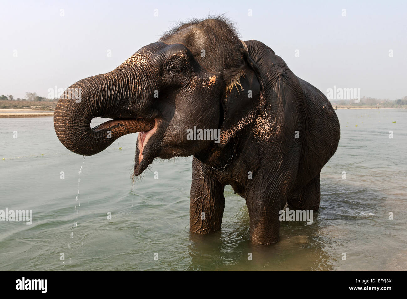 Rapti zone -Fotos und -Bildmaterial in hoher Auflösung – Alamy