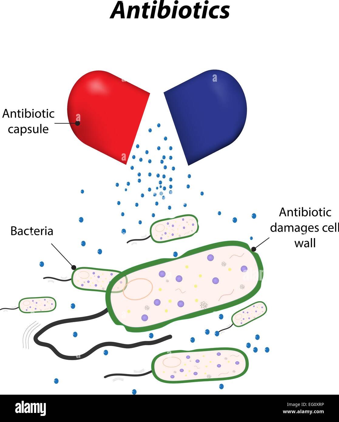 Antibiotika antibiotika -Fotos und -Bildmaterial in hoher Auflösung – Alamy