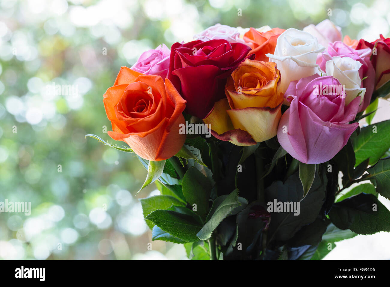Rosenstrauß gemischte bunte sitzt auf der Fensterbank Stockfotografie ...