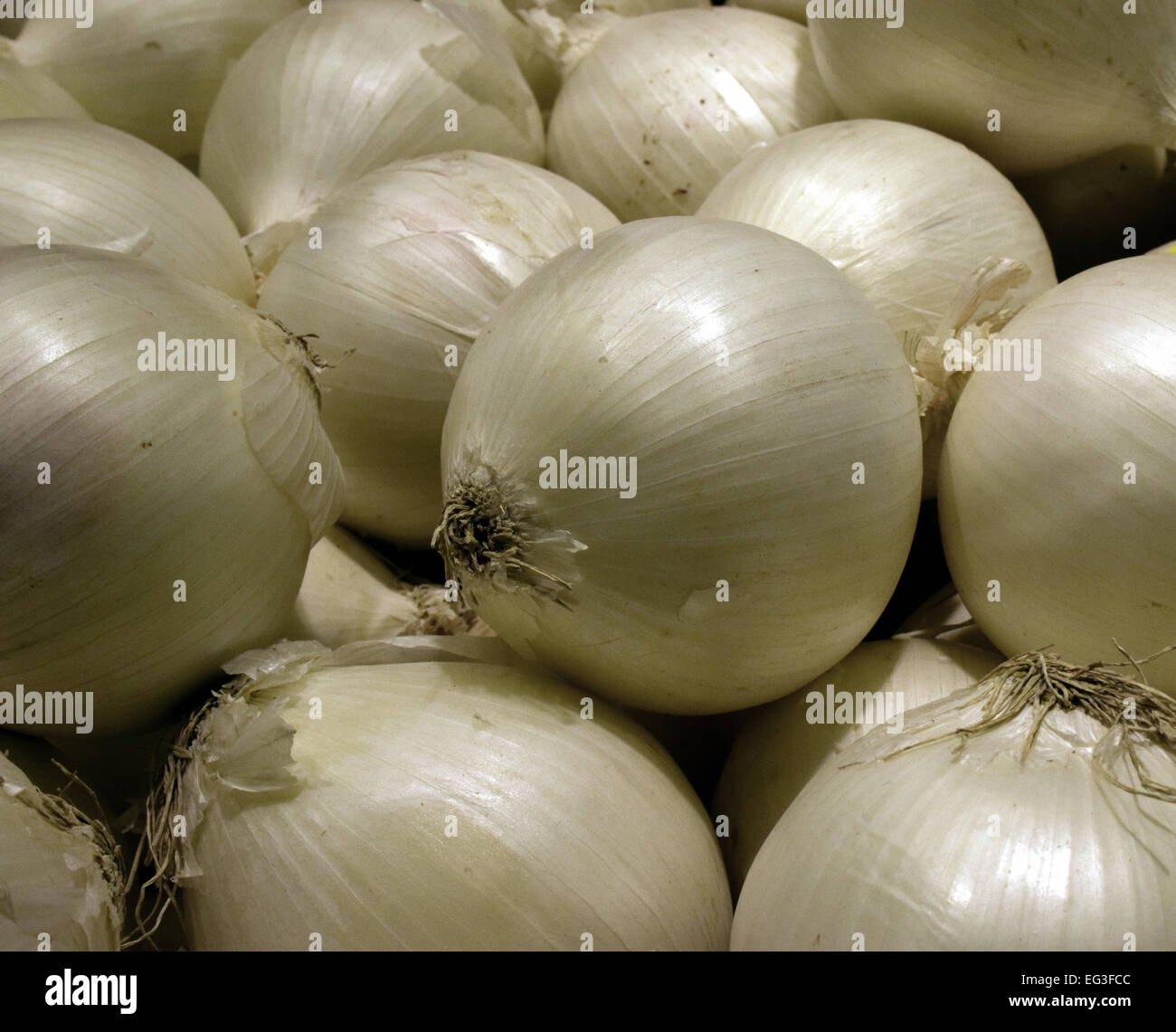 Schmackhafte weiße Zwiebeln, Birne, Gemüse, wurden ausgewählt, um ...