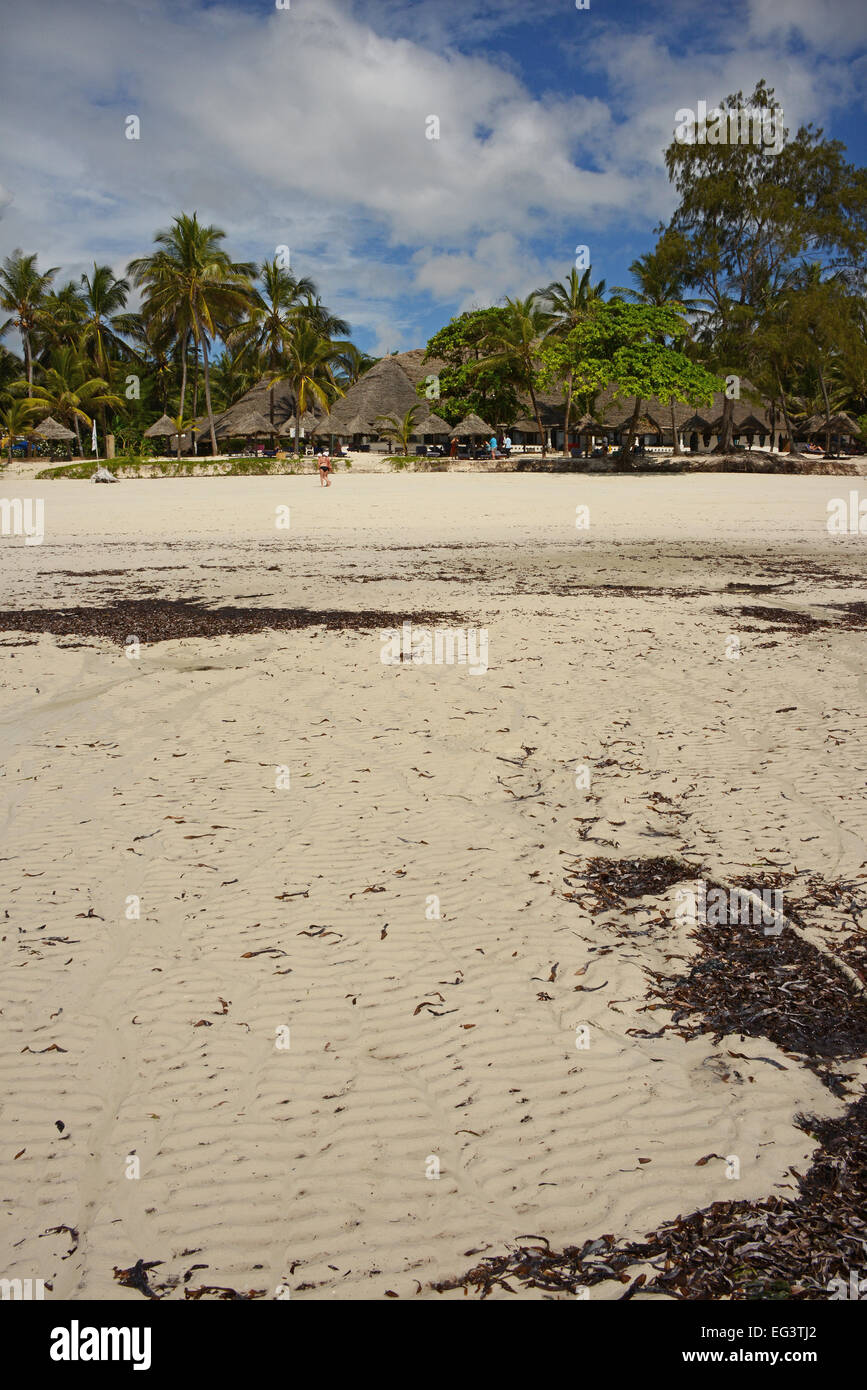 Portraitbild des Strandes im Turtle bay Watamu mit weißen Sand, Palmen ...