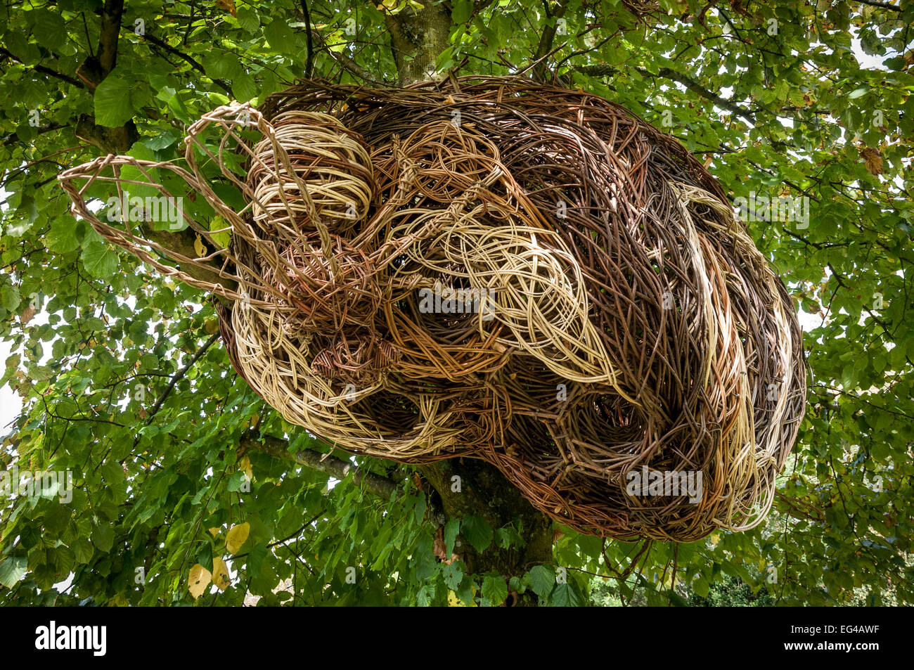 Geflochtene Weide Wespennest am Lymefield im Dorf Broadbottom, England ...