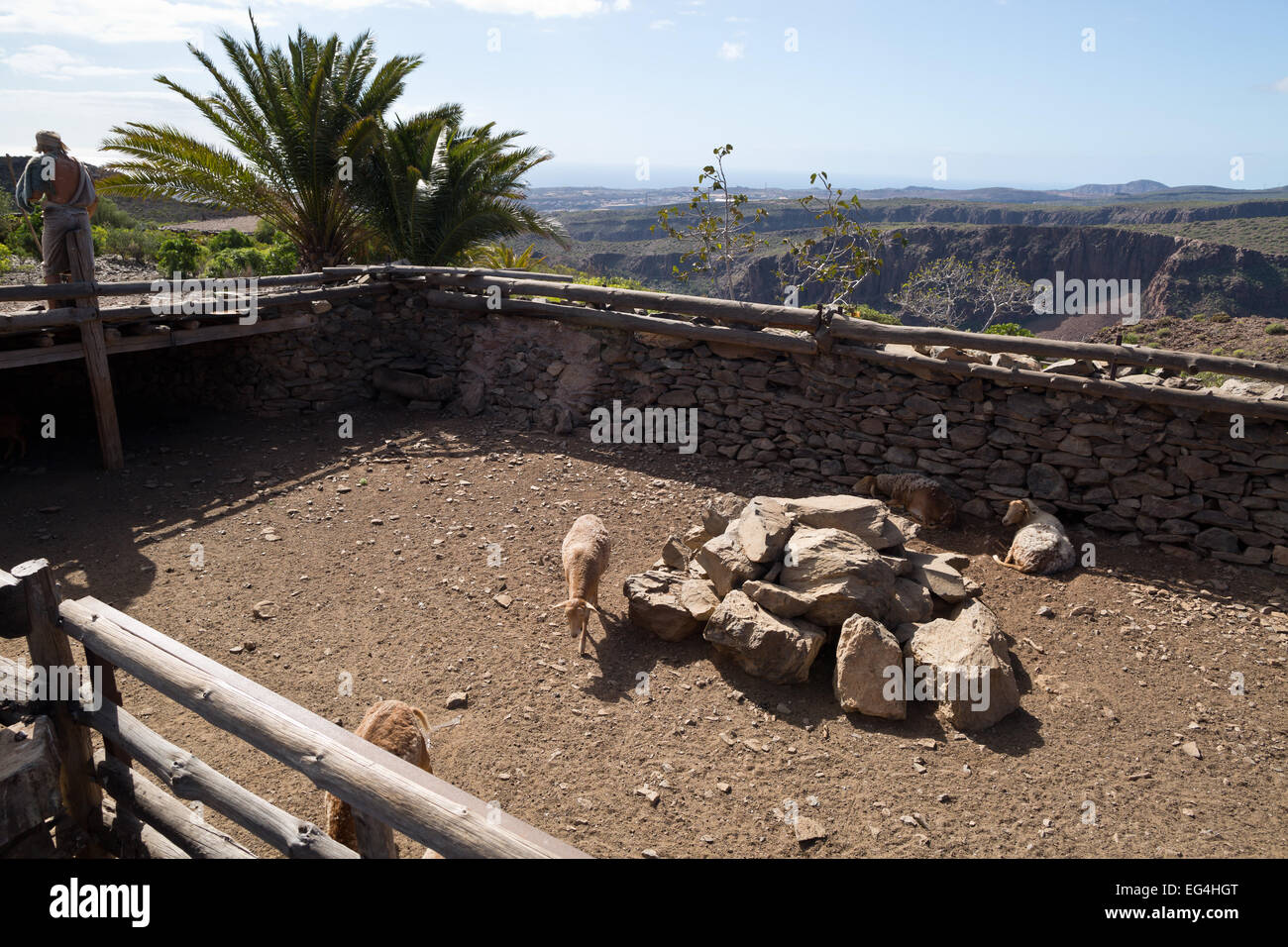Gran Canaria - Nutztiere im archäologischen Park Mundo Aborigen ...