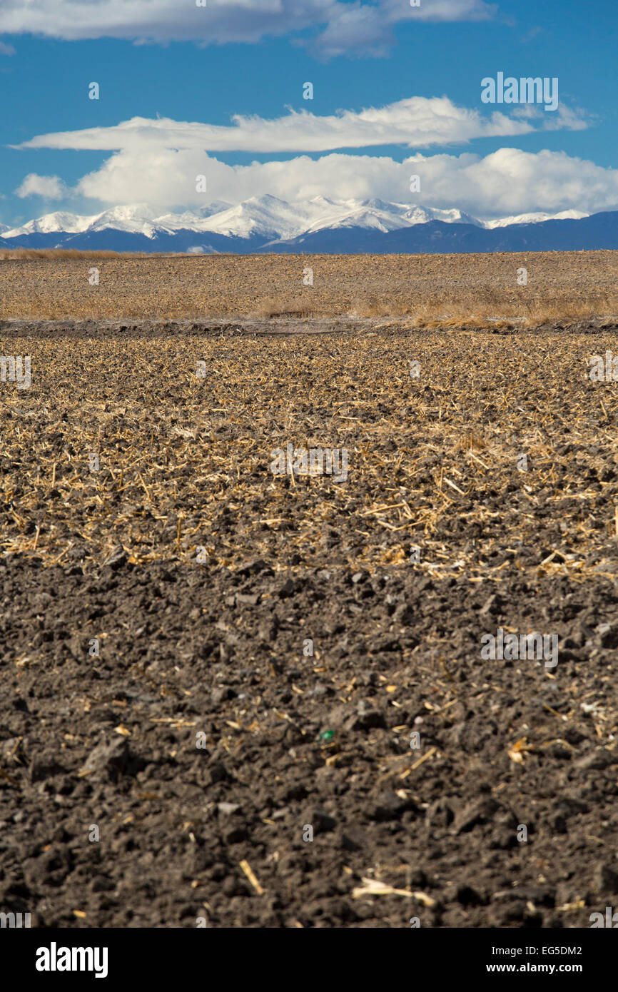 Greeley colorado agriculture farm -Fotos und -Bildmaterial in hoher ...