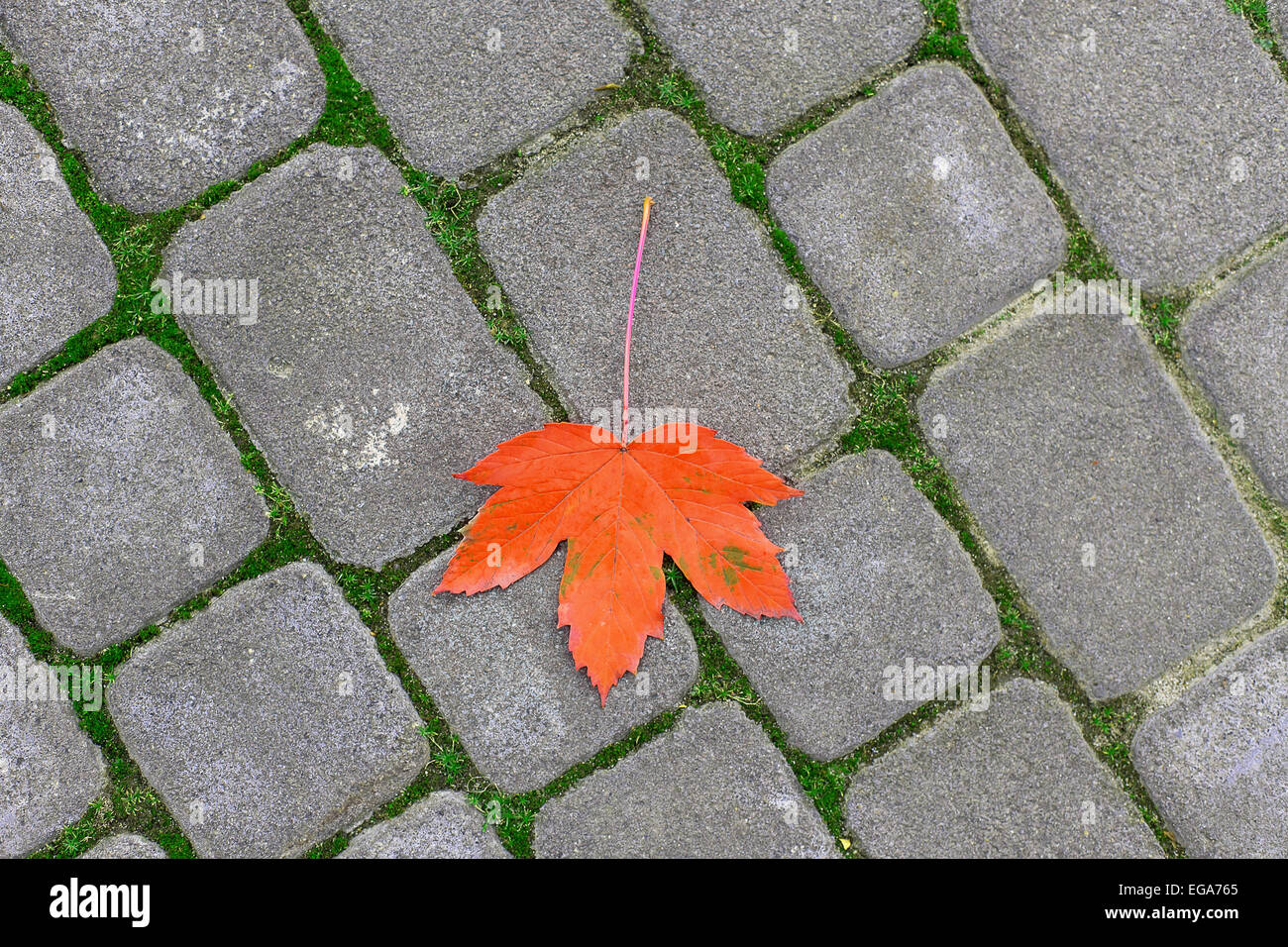Pflasterstein Pflasterstein Textur Straße Steinen Stockfotografie - Alamy