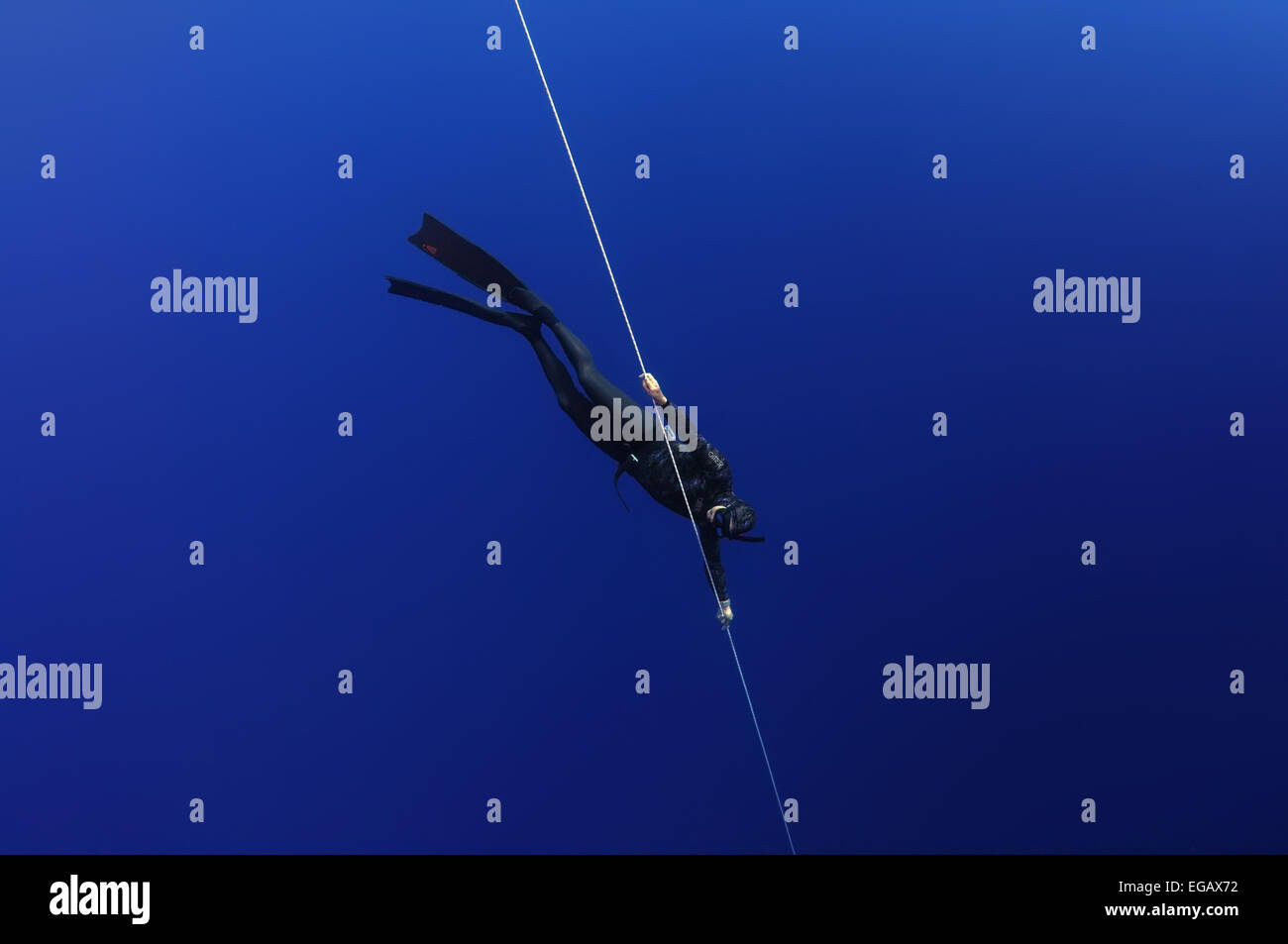 Freitauchen tauchen -Fotos und -Bildmaterial in hoher Auflösung – Alamy