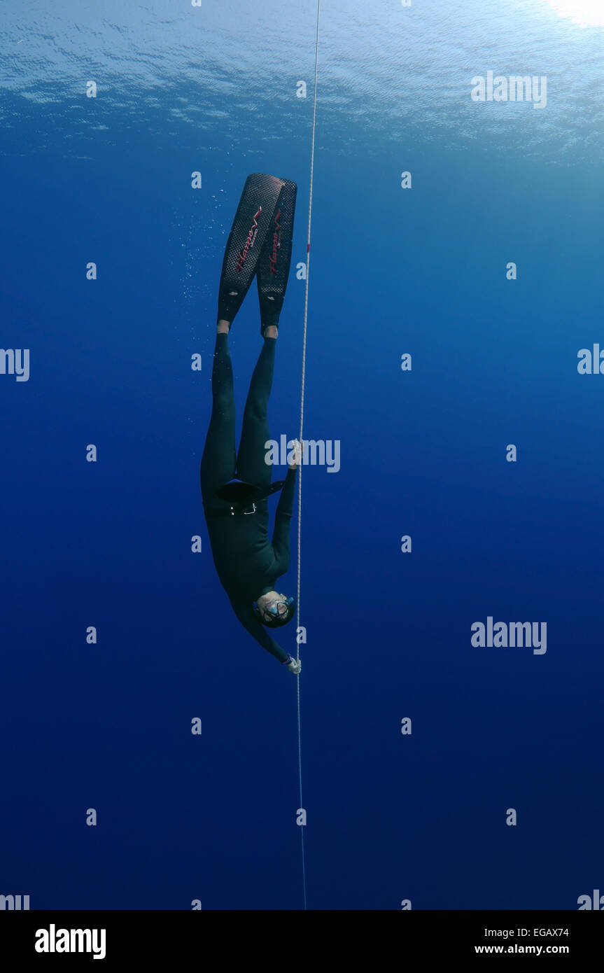 Freitauchen tauchen -Fotos und -Bildmaterial in hoher Auflösung – Alamy
