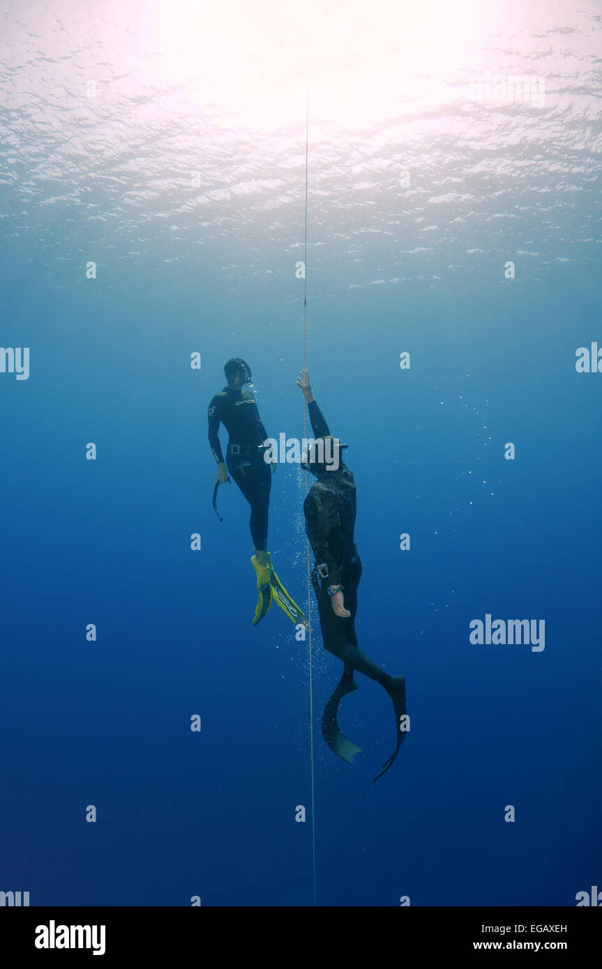 Freitauchen tauchen -Fotos und -Bildmaterial in hoher Auflösung – Alamy